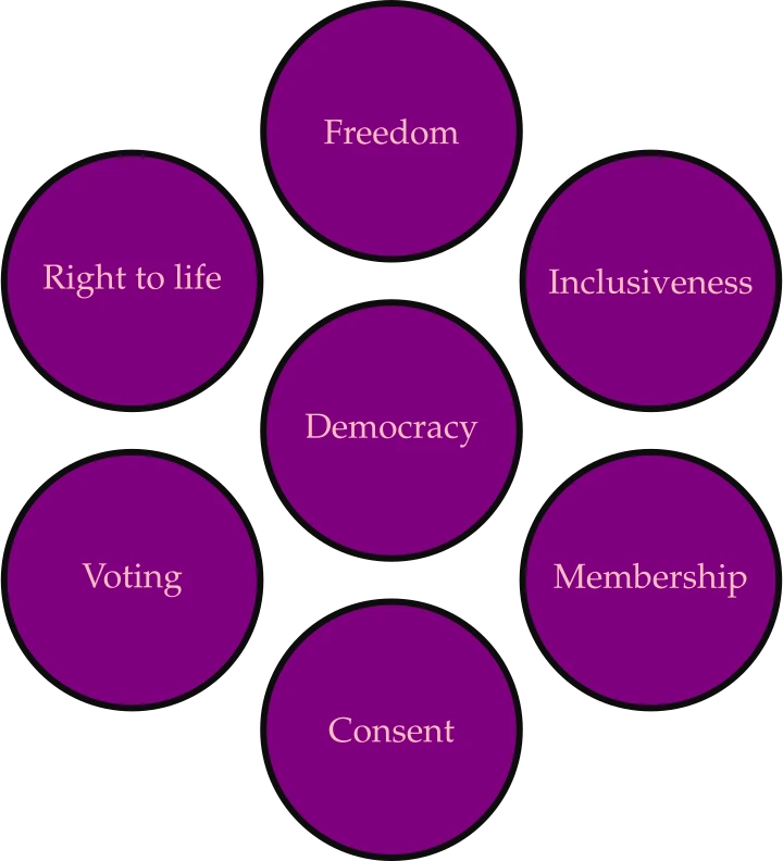 Figular: style unleashed | Galagic